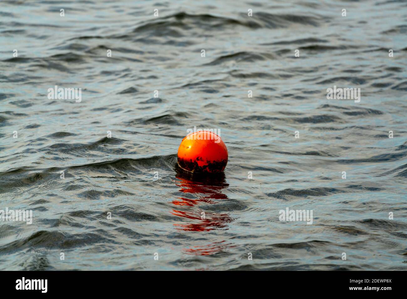 Orange buoy marker, marking the location of a crab pod left by a ...