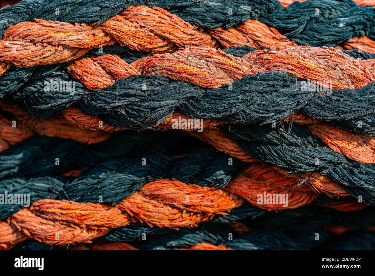 Close up of synthetic braided marine grade rope for mooring Stock Photo ...