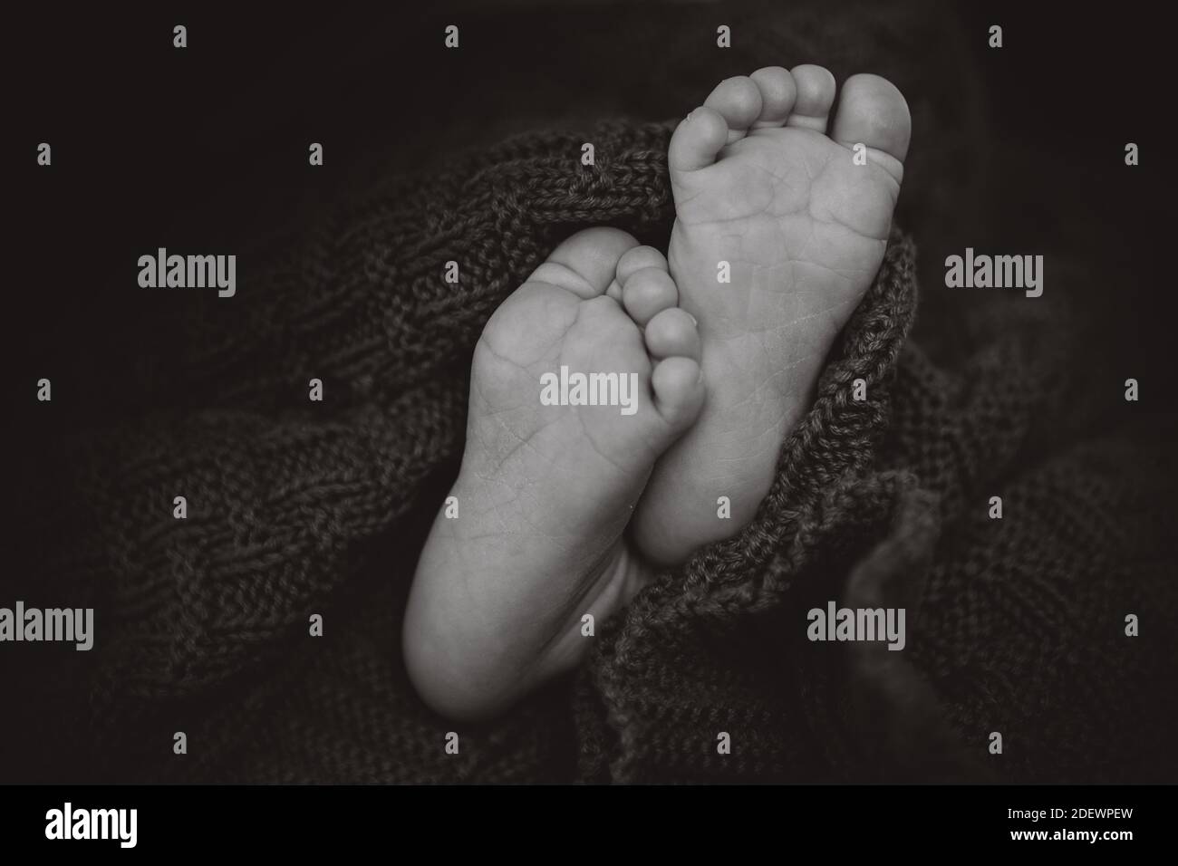 newborn baby feet Stock Photo - Alamy