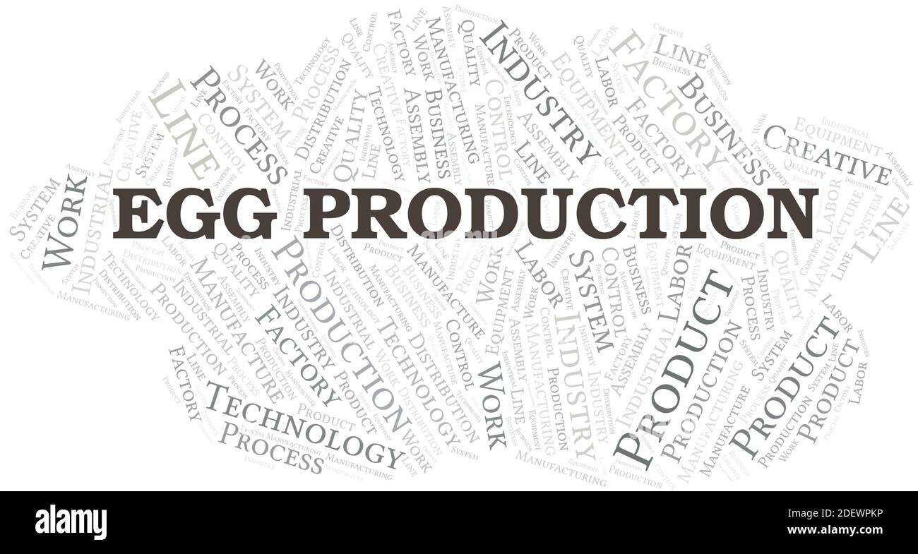 Egg Production word cloud create with the text only Stock Vector Image ...
