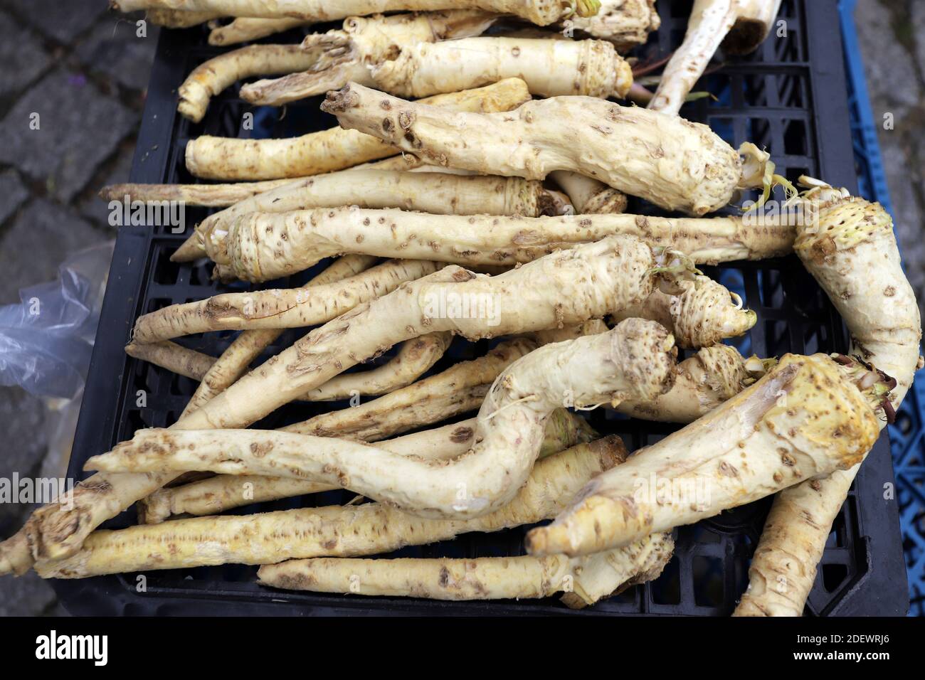 A pile of Parsnip (Pastinaca sativa) is a root vegetable Stock Photo ...
