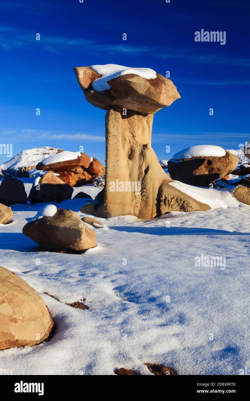 geography / travel, USA, Bisti Badlands, monolith and Gesteinsaeule ...