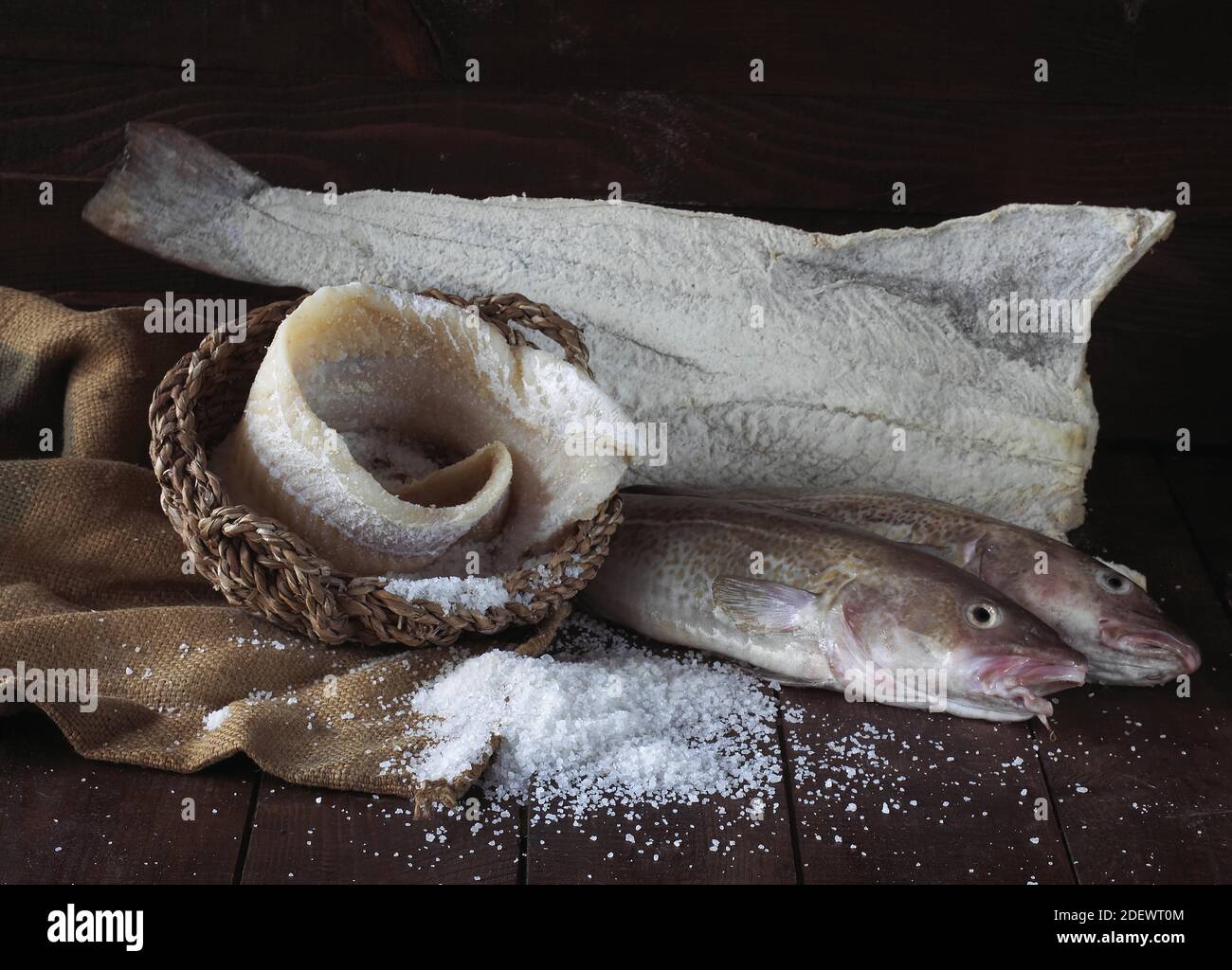 Fresh, Salted and Dried Cod, gadus morhua Stock Photo - Alamy