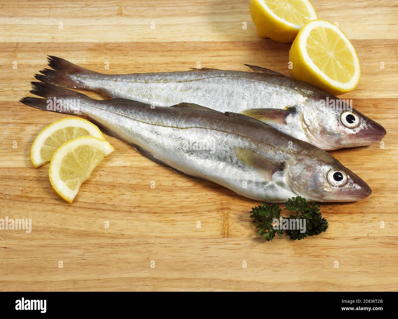 Fresh Whiting, merlangius merlangus, Fishes with Lemon and Parsley ...