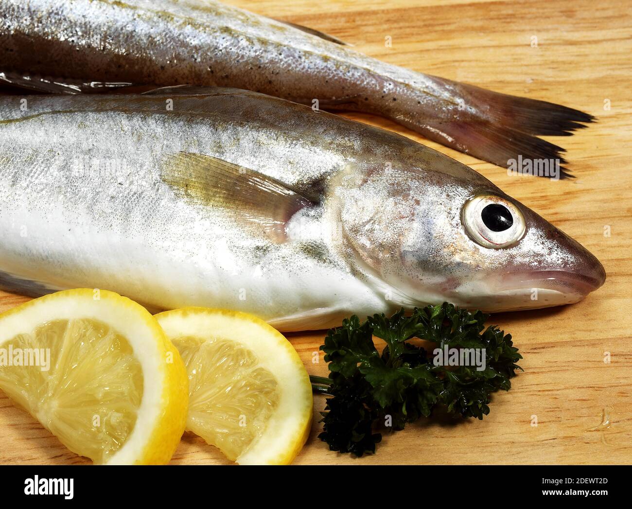 Fresh Whiting, merlangius merlangus, Fishes with Lemon and Parsley ...