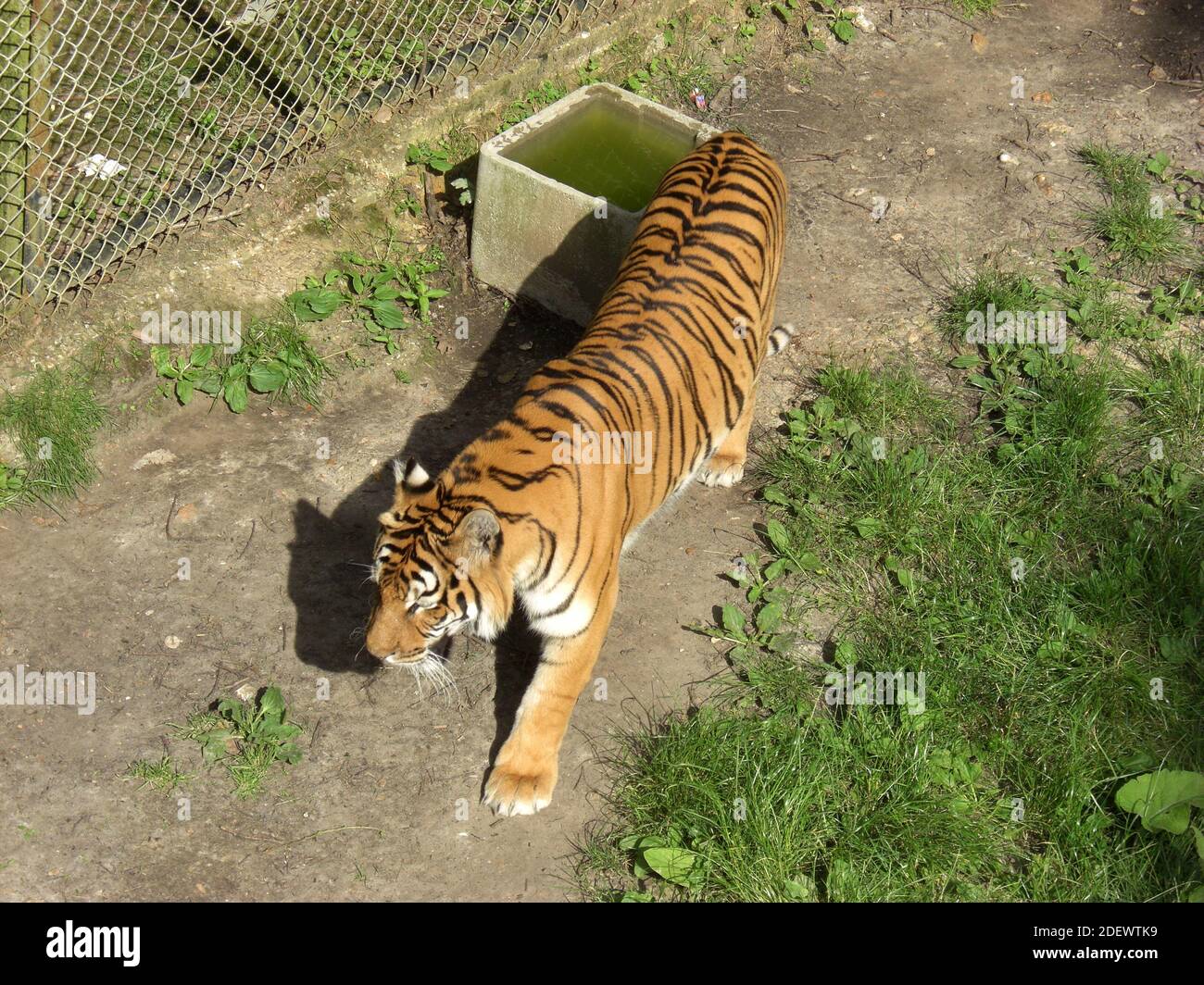 Parc animalier de Thoiry Stock Photo - Alamy