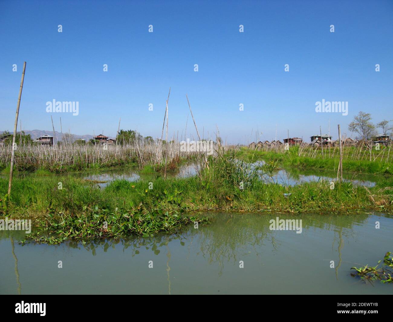 Nature of Lake Inle in mountains of Myanmar Stock Photo - Alamy
