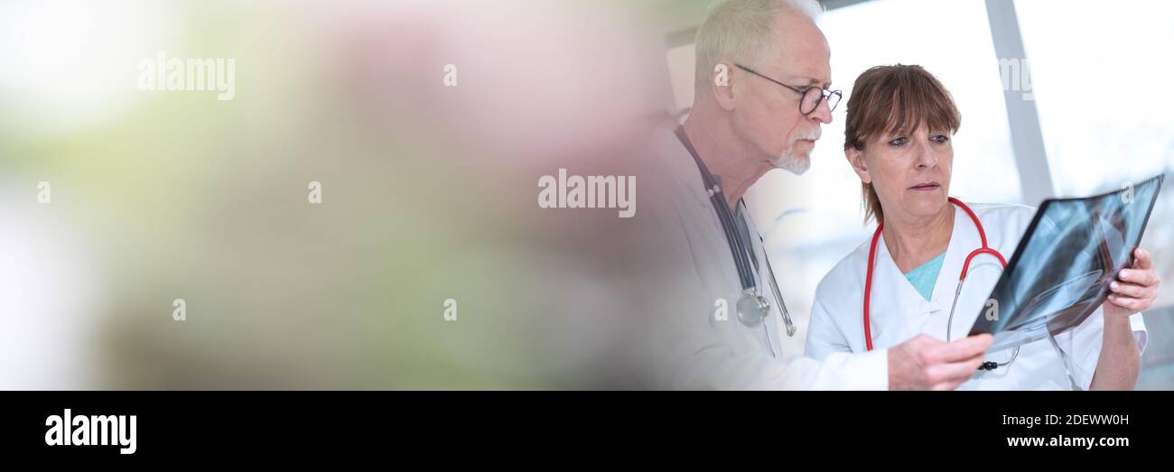 Two doctors examining x-ray report in medical office; panoramic banner ...