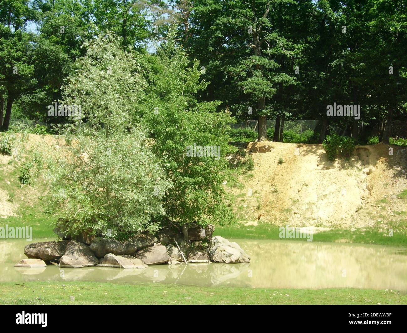 Parc animalier de Thoiry Stock Photo - Alamy
