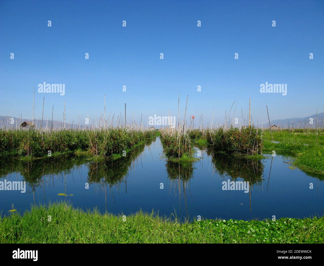 Nature of Lake Inle in mountains of Myanmar Stock Photo - Alamy