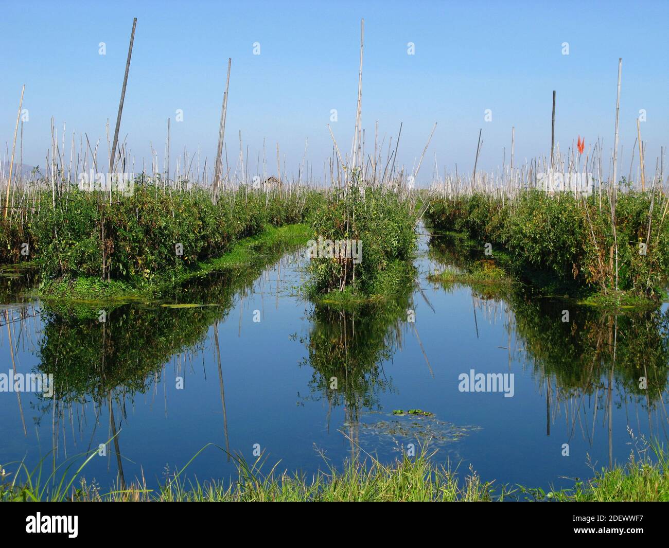 Nature of Lake Inle in mountains of Myanmar Stock Photo - Alamy