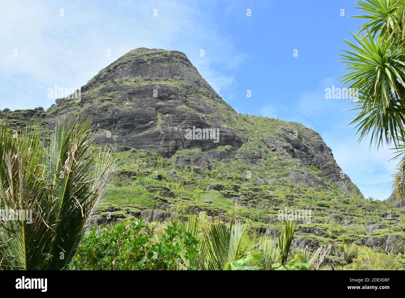 View of Baldy Mountain from Pararaha Valley Stock Photo - Alamy
