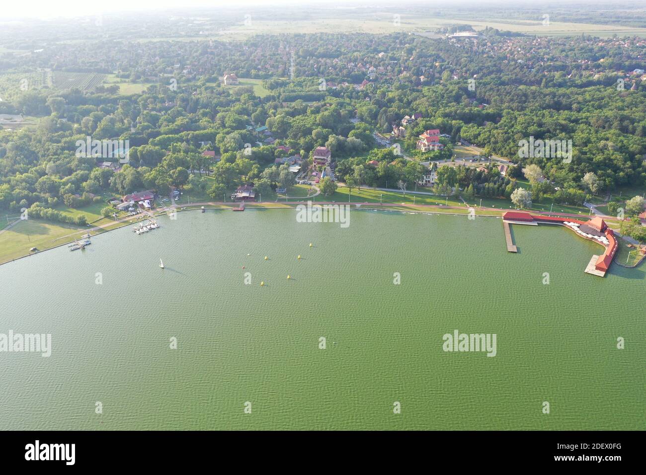 An aerial shot of a pathway surrounded by trees near the water in Palic ...