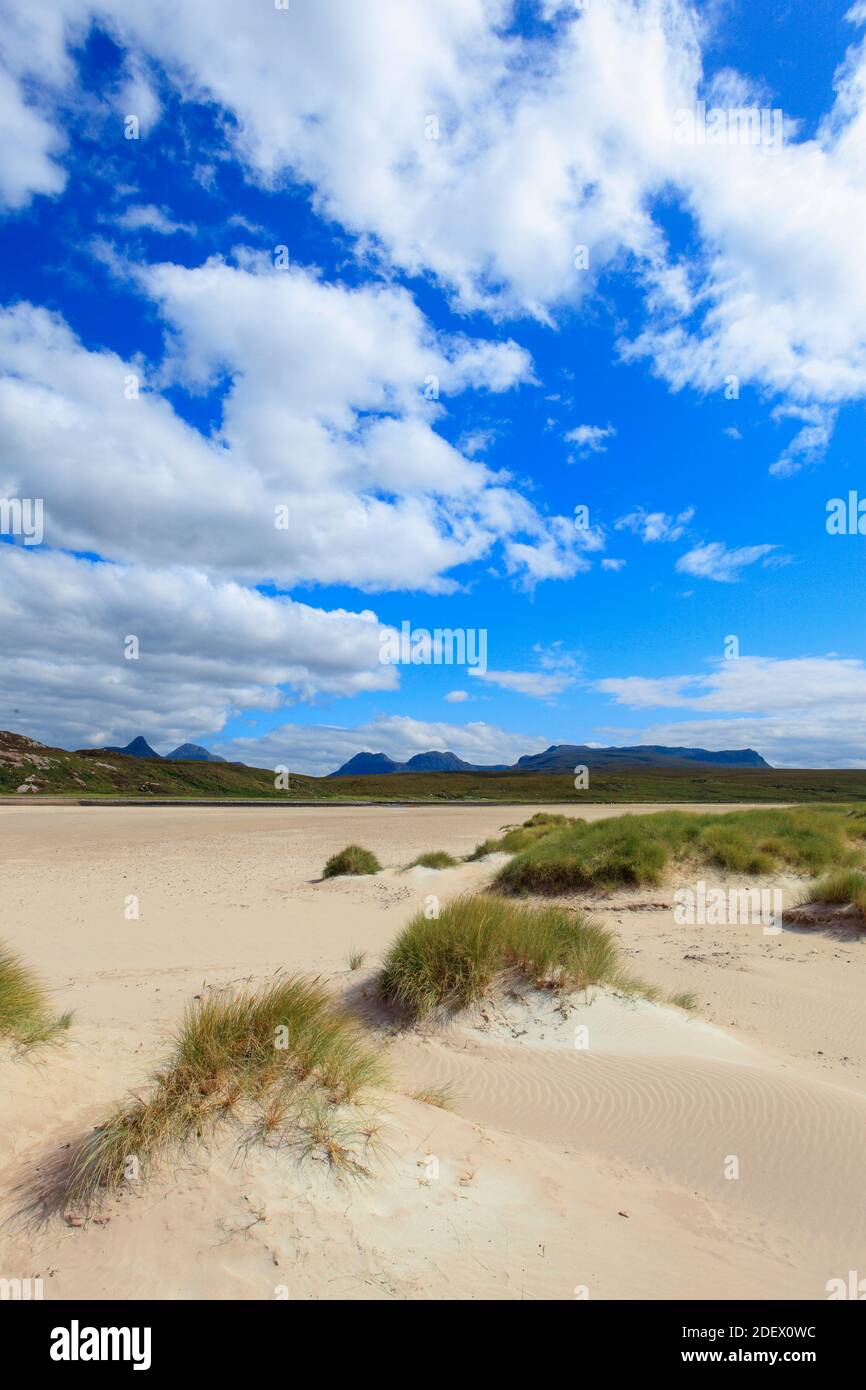 Grasses on sandy beach hi-res stock photography and images - Alamy