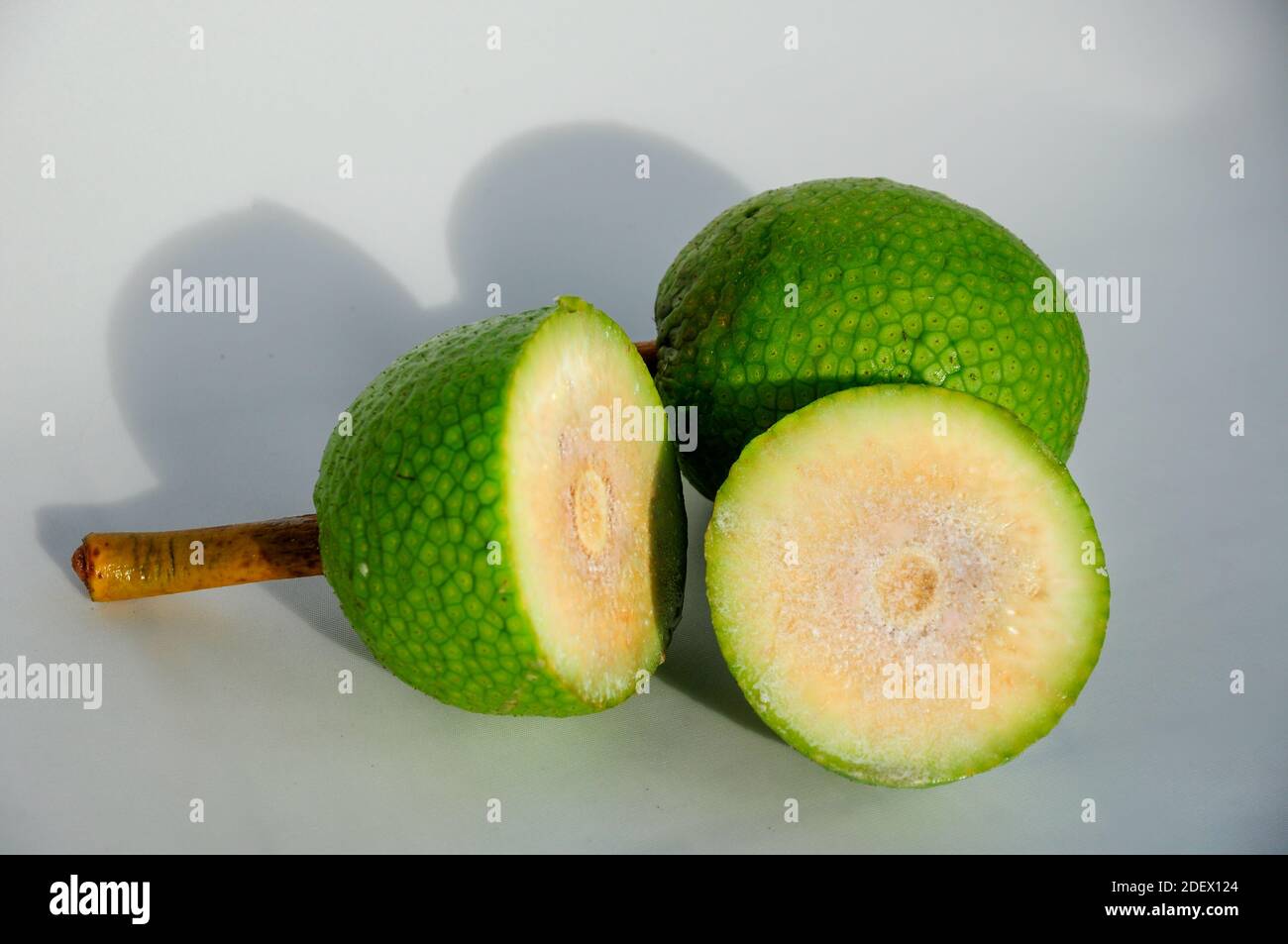 Cut breadfruit hi-res stock photography and images - Alamy