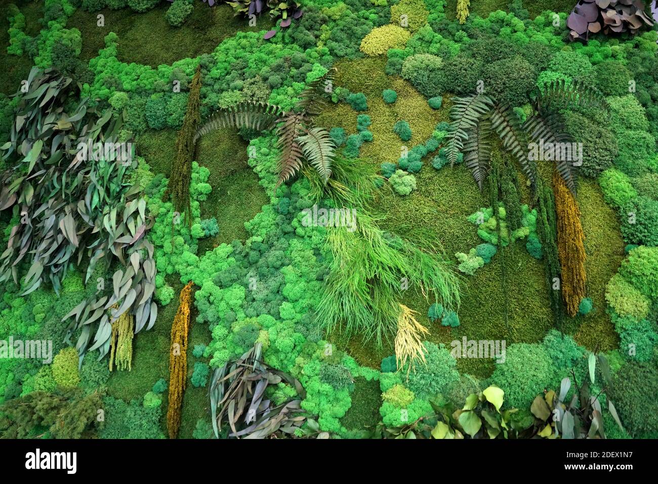Phytowall hi-res stock photography and images - Alamy