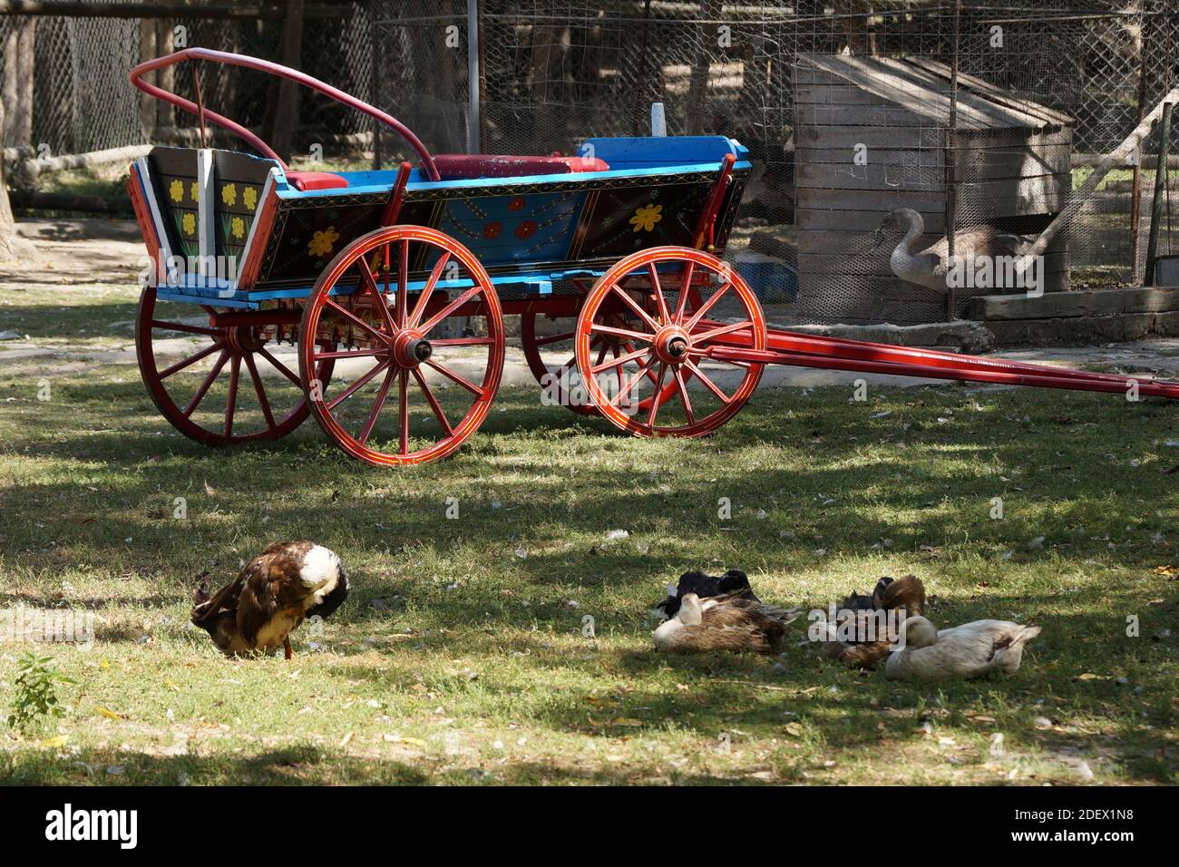 Poultry farming transport hi-res stock photography and images - Alamy