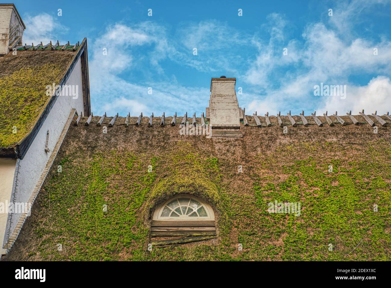 Danish countryside medieval house, detail on sloping thatched roof with ...