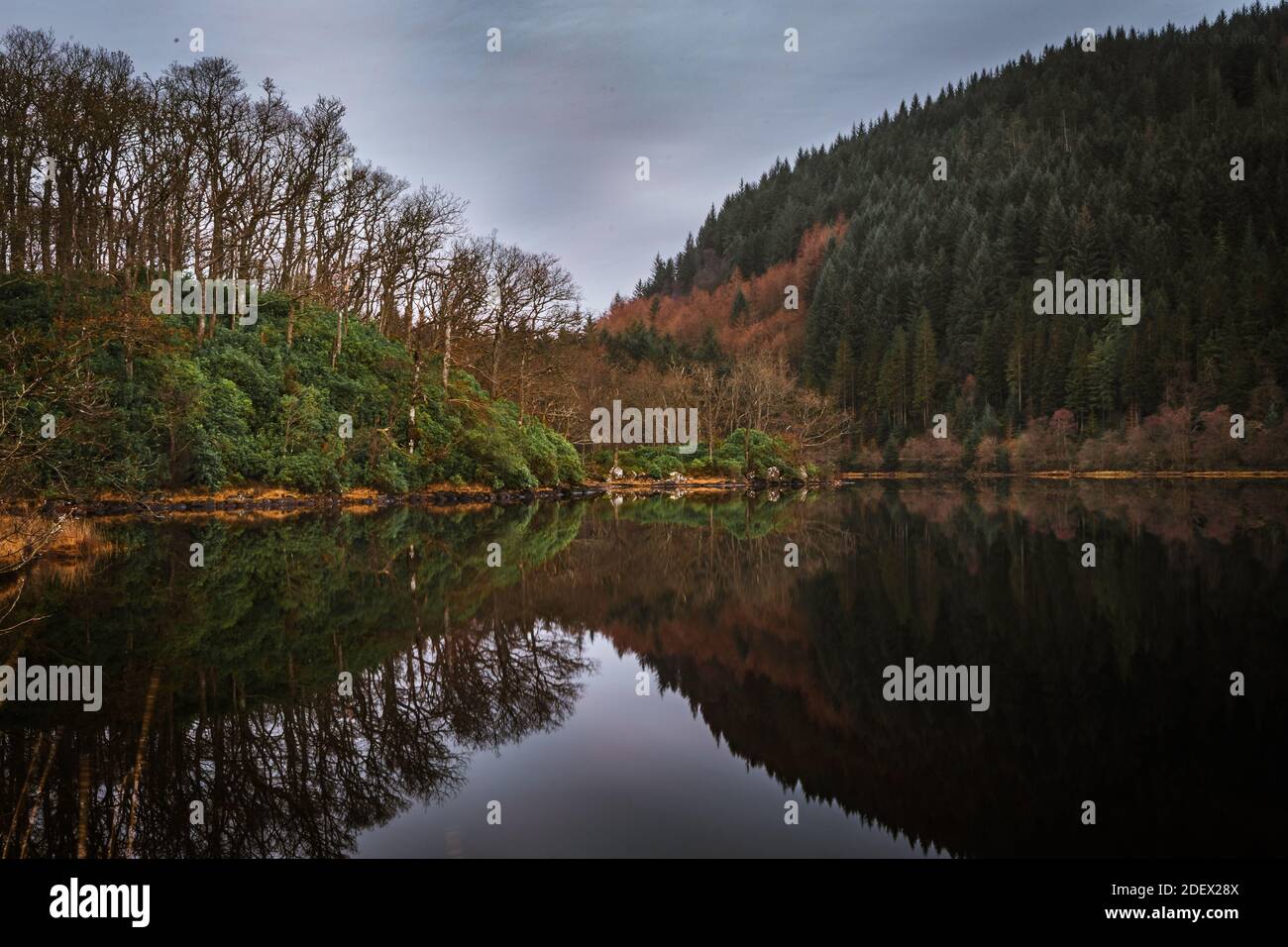 Loch lomond east hi-res stock photography and images - Alamy