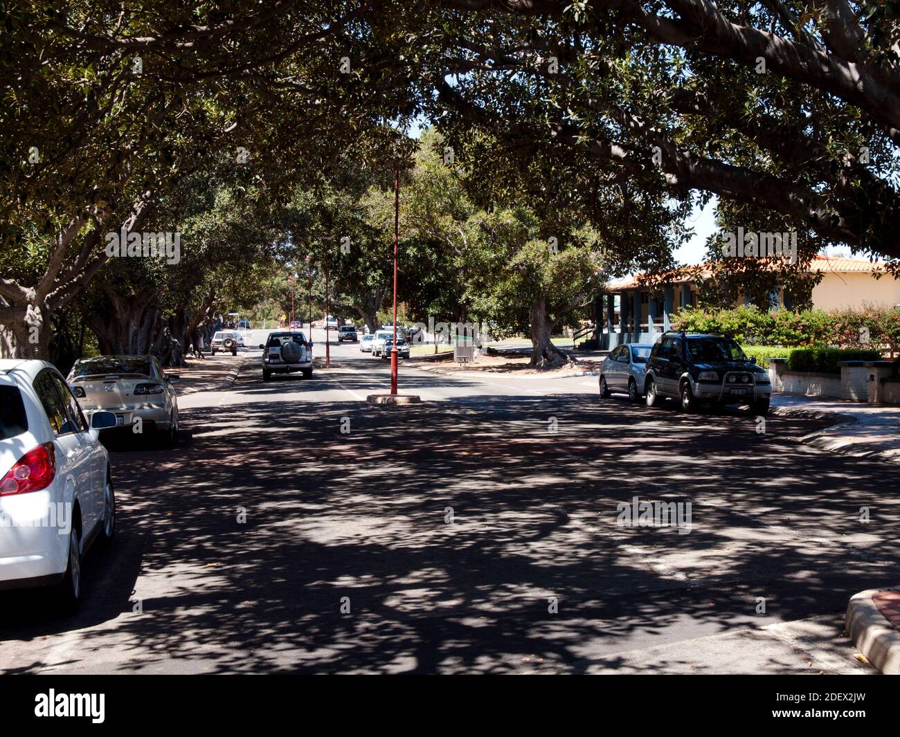 Shady Moreton Terrace, the main street of Dongara, is lined with ...