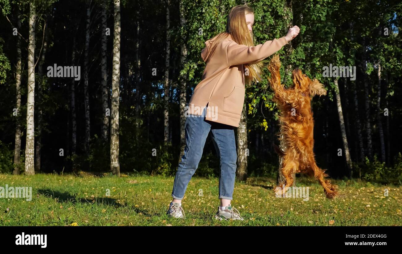 Joyful girl imitates throwing stick and laughs at ginger dog running ...