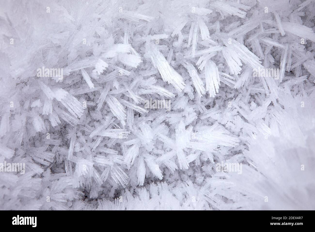 Close-up of hoar frost texture. Winter background with rime ice ...