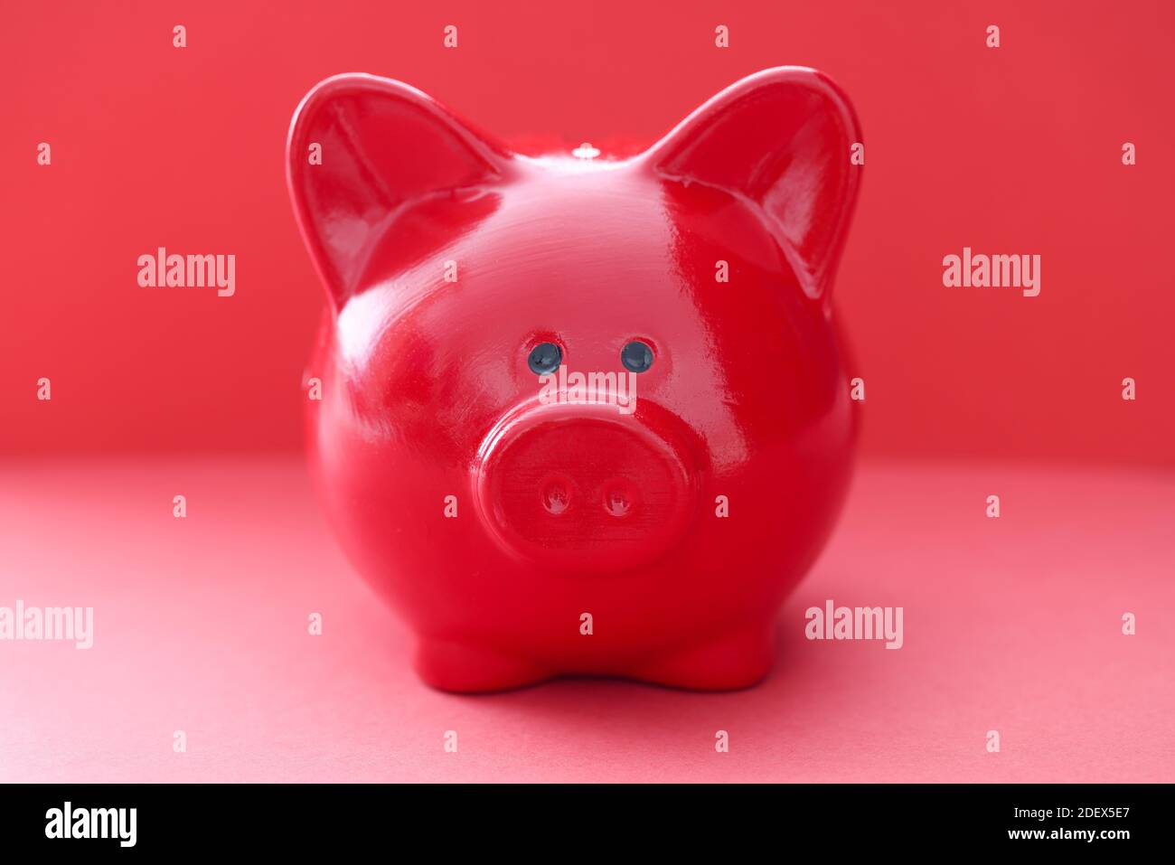 Red pig hi-res stock photography and images - Alamy
