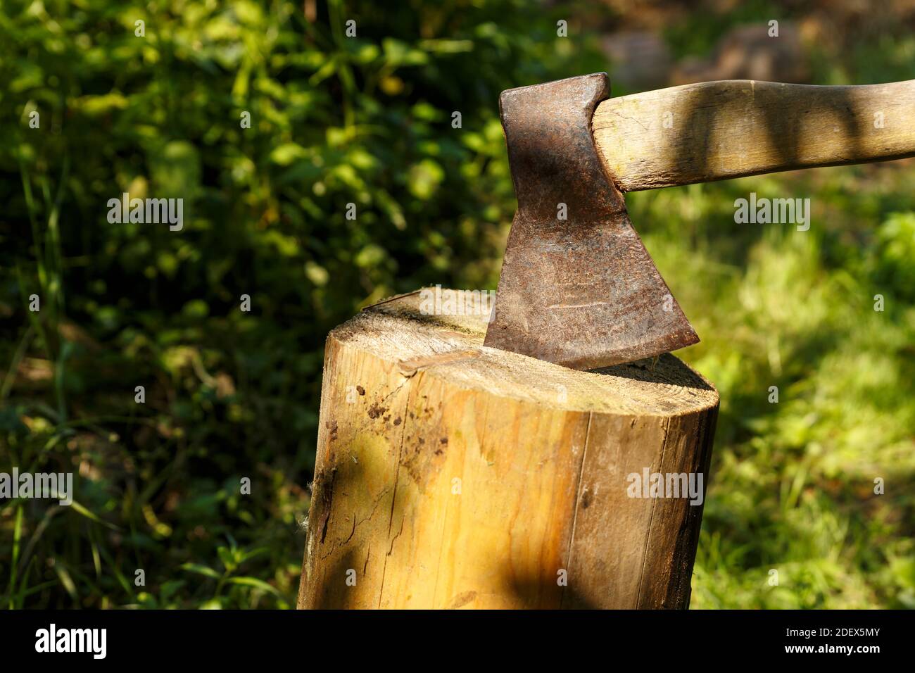 An iron ax with a wooden handle stuck into a tree stump. Ax and a ...