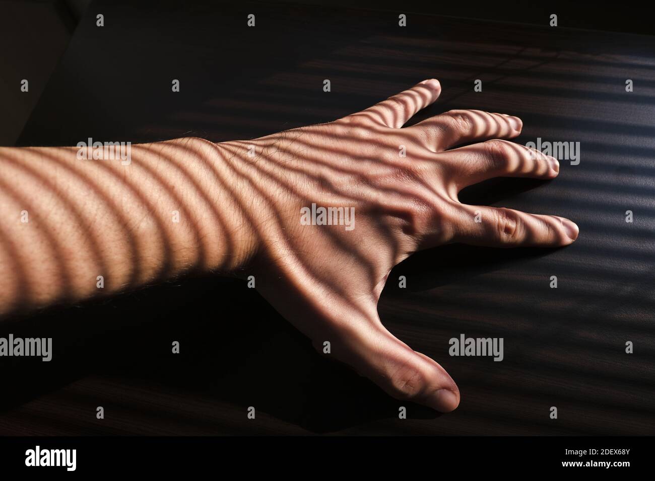A closeup shot of a man's hand on a table with jalousie shadows Stock ...