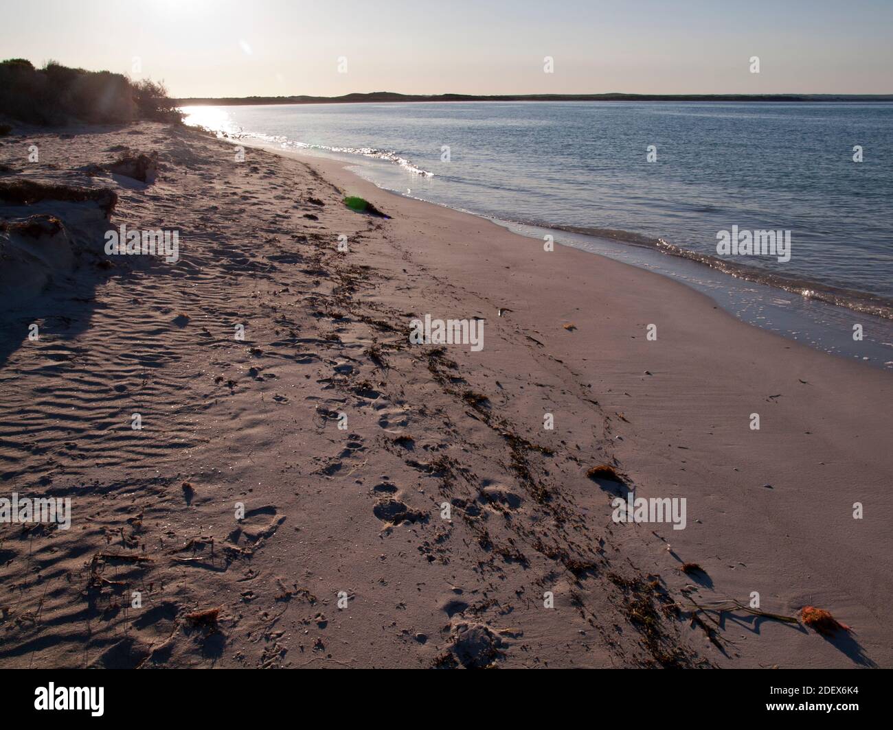 Looking east along the beach on Hansen Bay from Thirsty Point ...