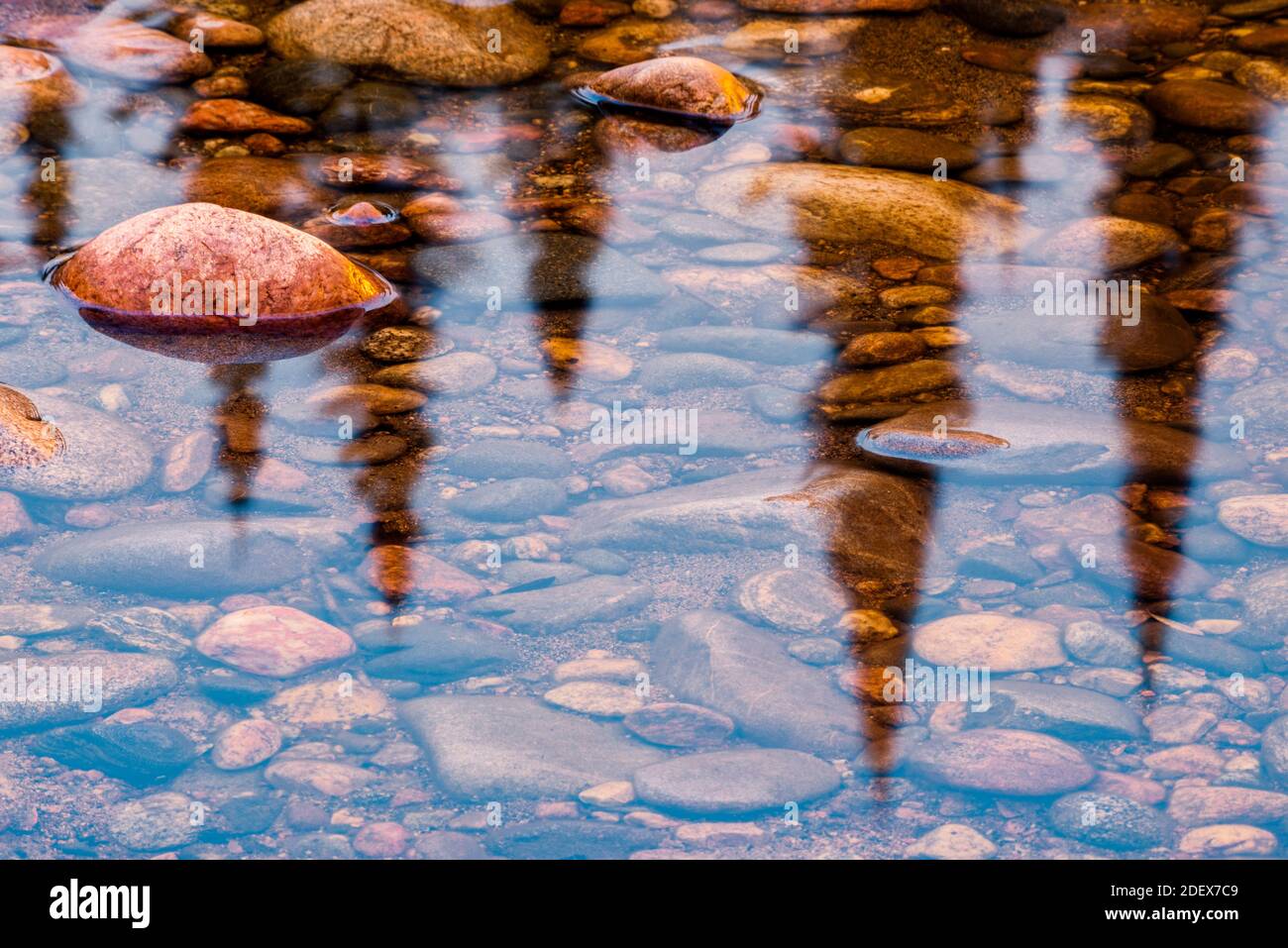 geography / travel, Canada, Spruce trees reflecting in the Agawa River ...