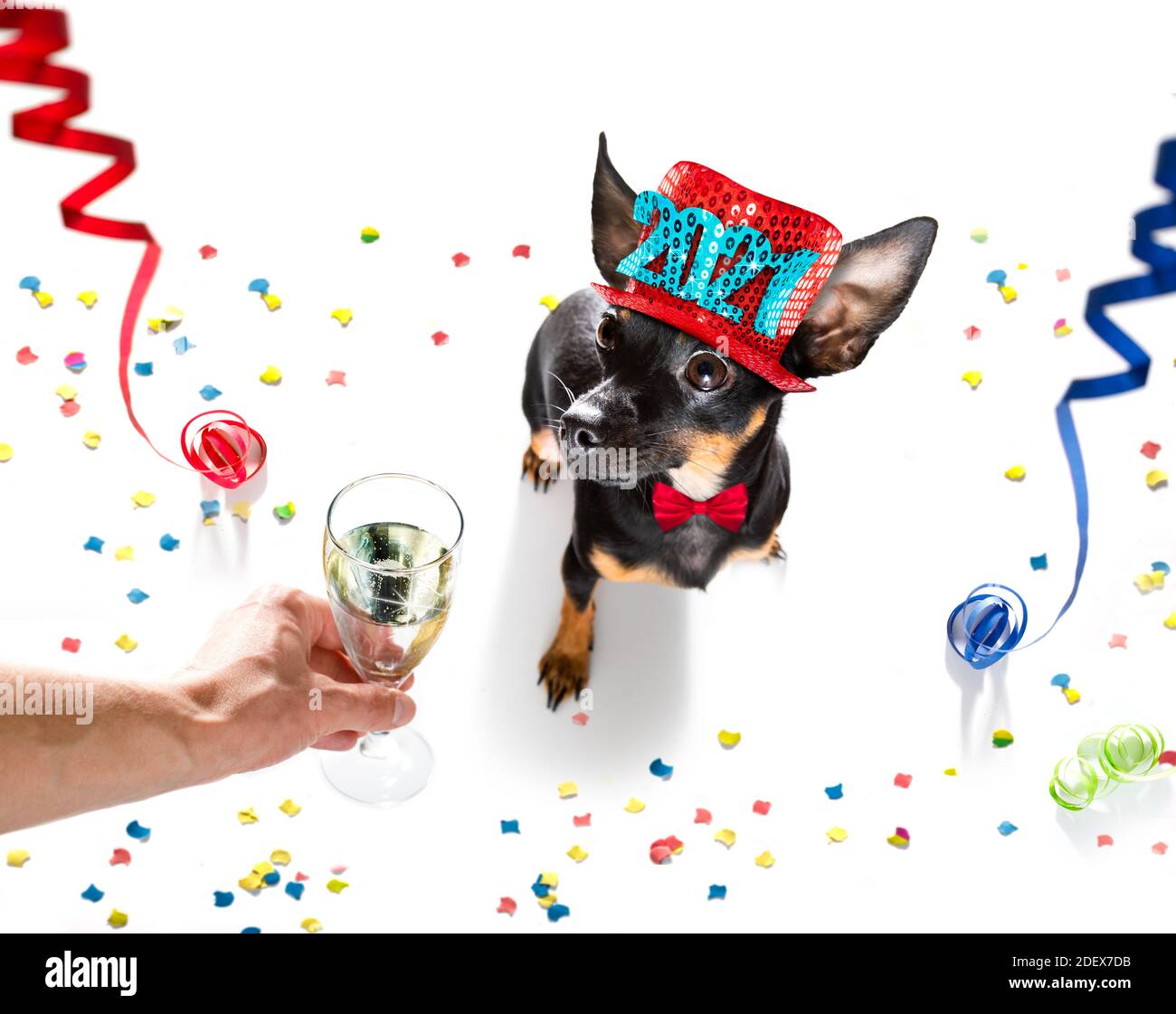 Prague rattler hi-res stock photography and images - Alamy