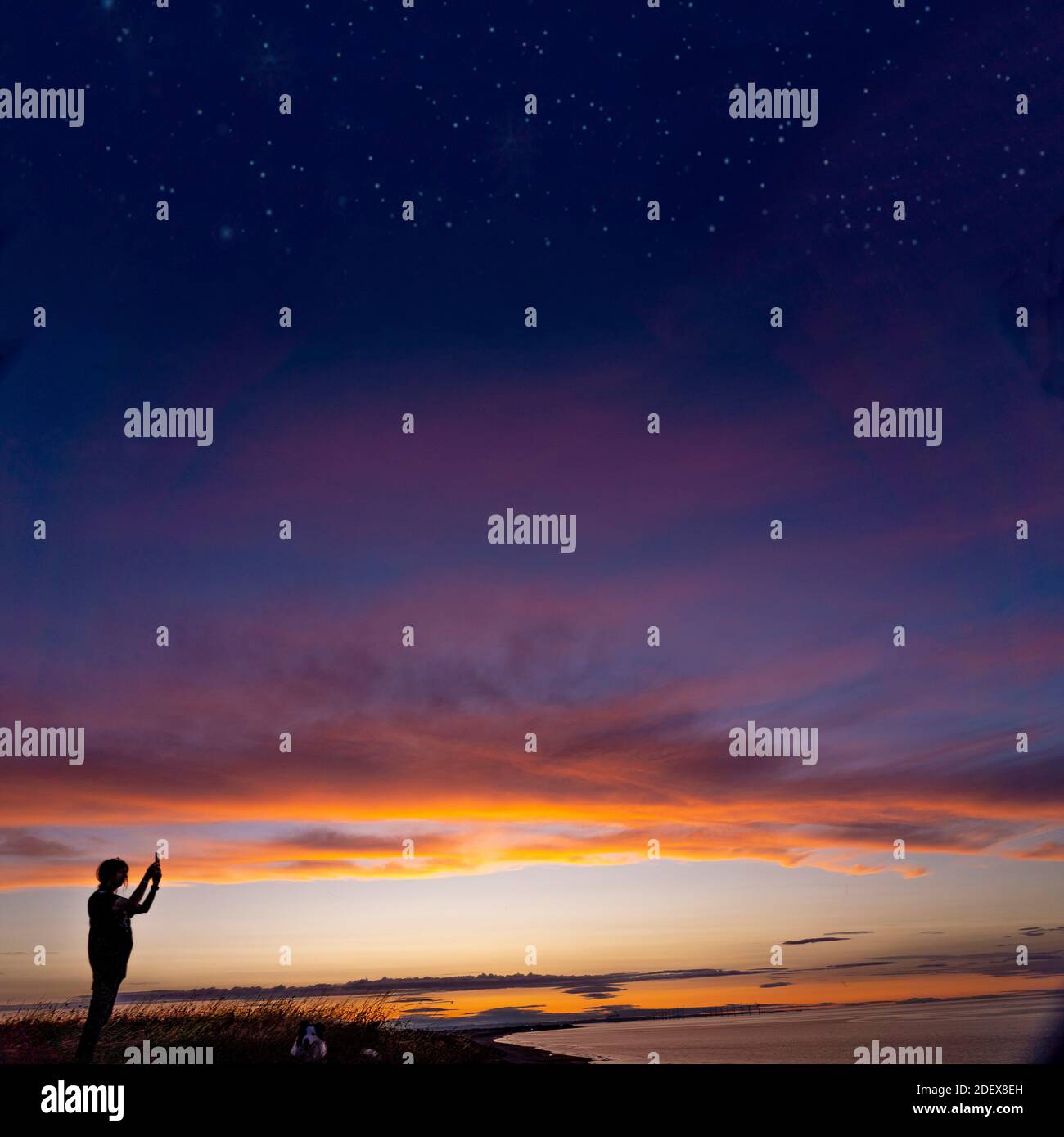 Person with phone silhouette hi-res stock photography and images - Alamy