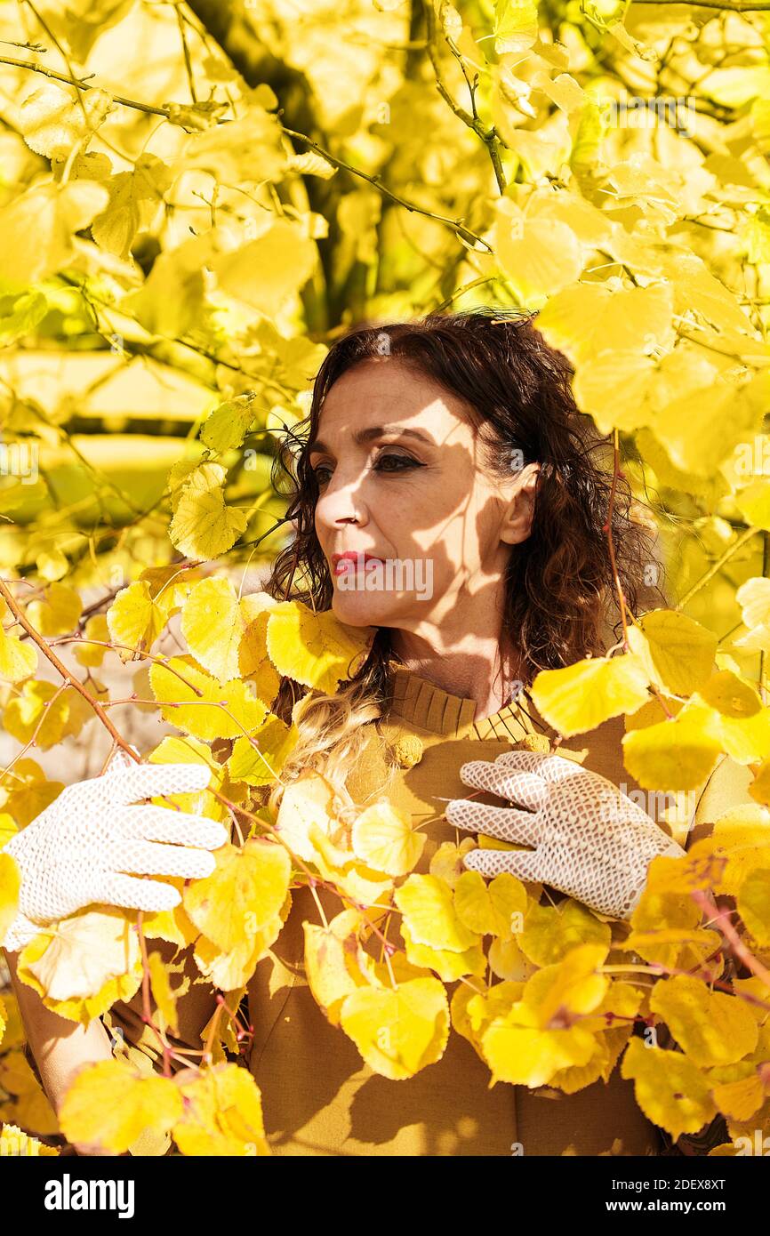 Woman among yellow autumn hi-res stock photography and images - Alamy