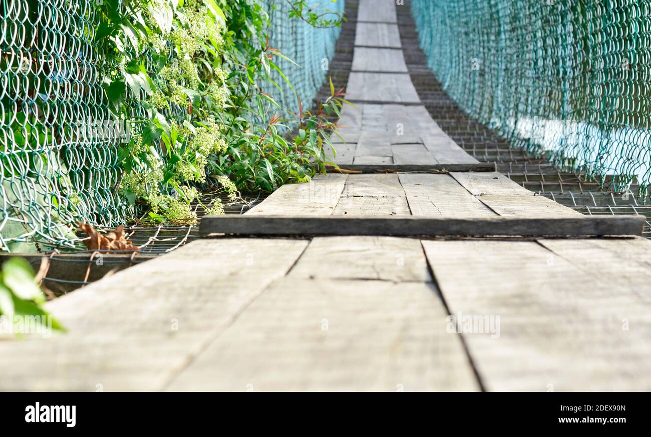 Hanging bridge full of green bushes and made of chain link fence and of ...