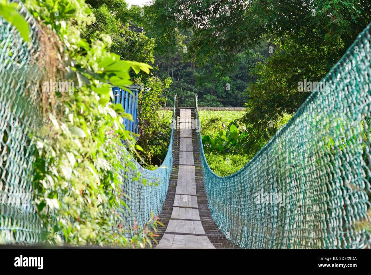 Rotten bridge hi-res stock photography and images - Alamy