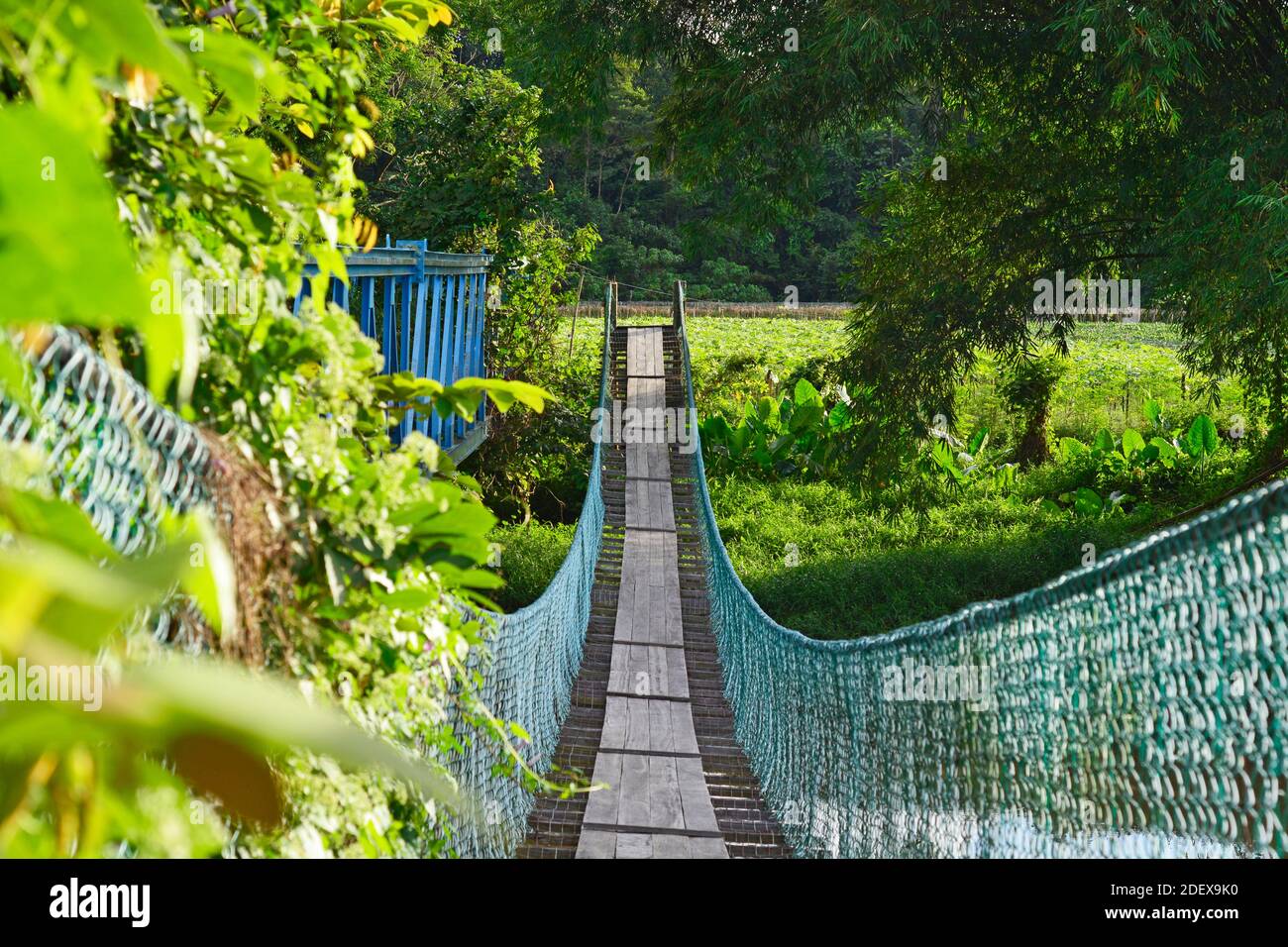 Broken chain link fence hi-res stock photography and images - Alamy