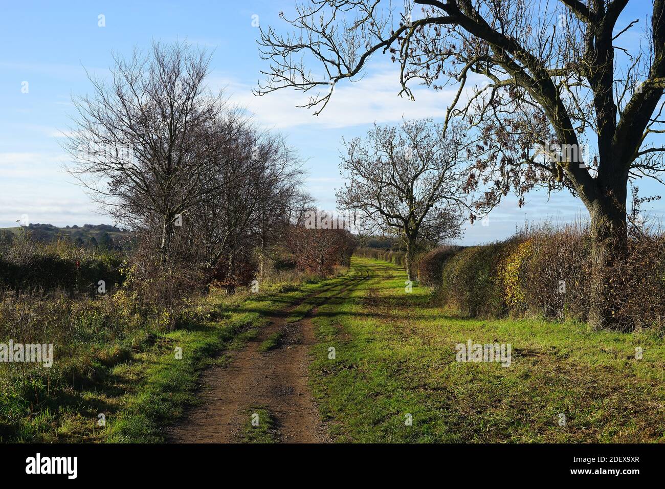The ancient Icknield Way near Lilley in Hertfordshire Stock Photo - Alamy