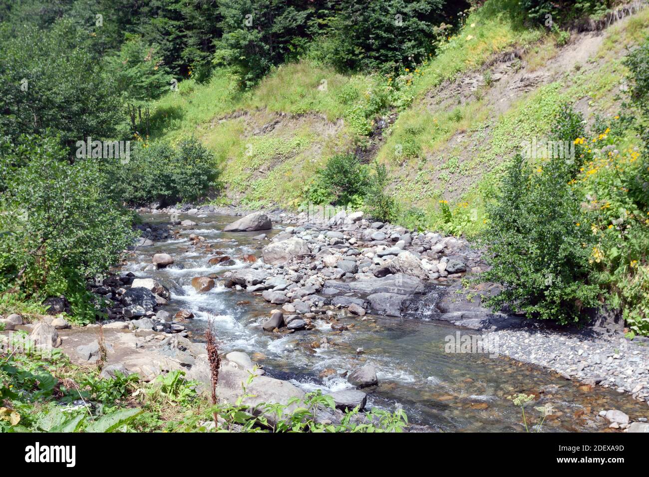 Small narrow mountain river Stock Photo - Alamy