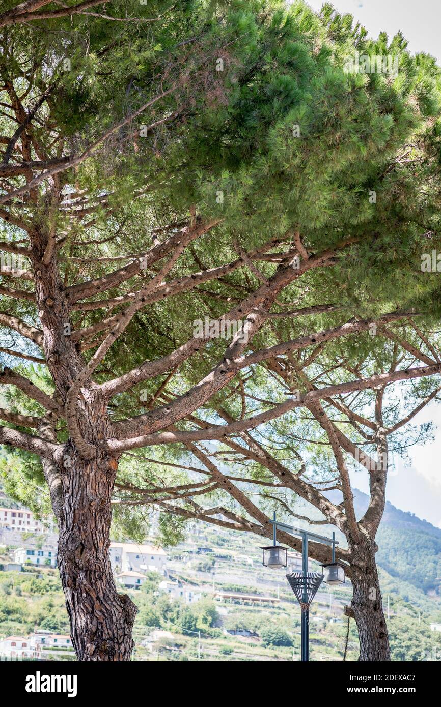 Town square of ravello hi-res stock photography and images - Alamy