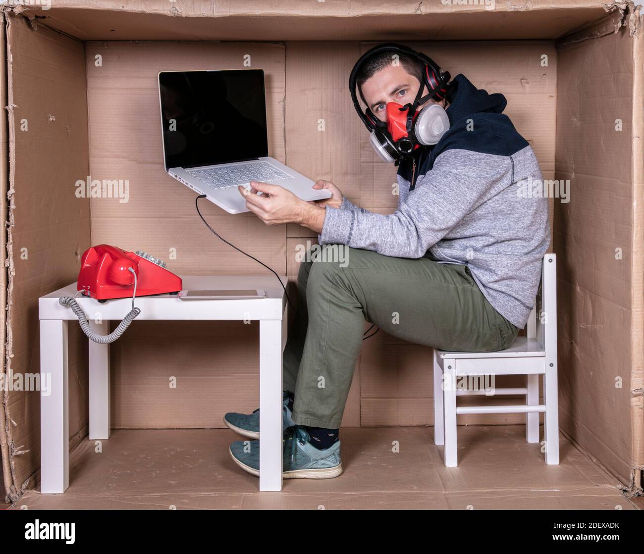 employee works from his own cardboard office to isolate himself from ...