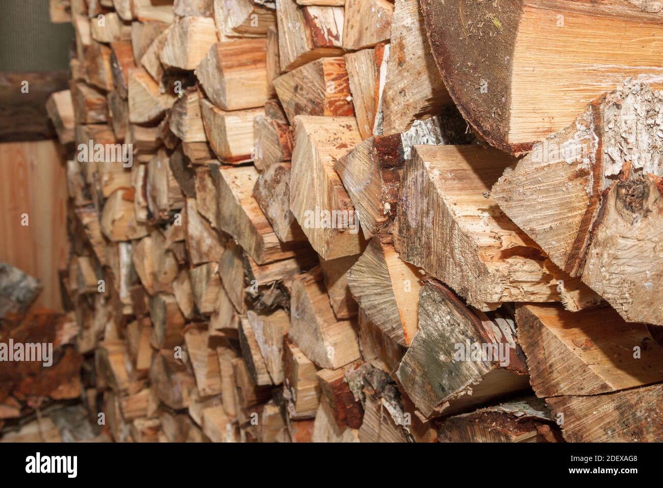 Pinned birch wood are in a pile in drevenice Stock Photo - Alamy