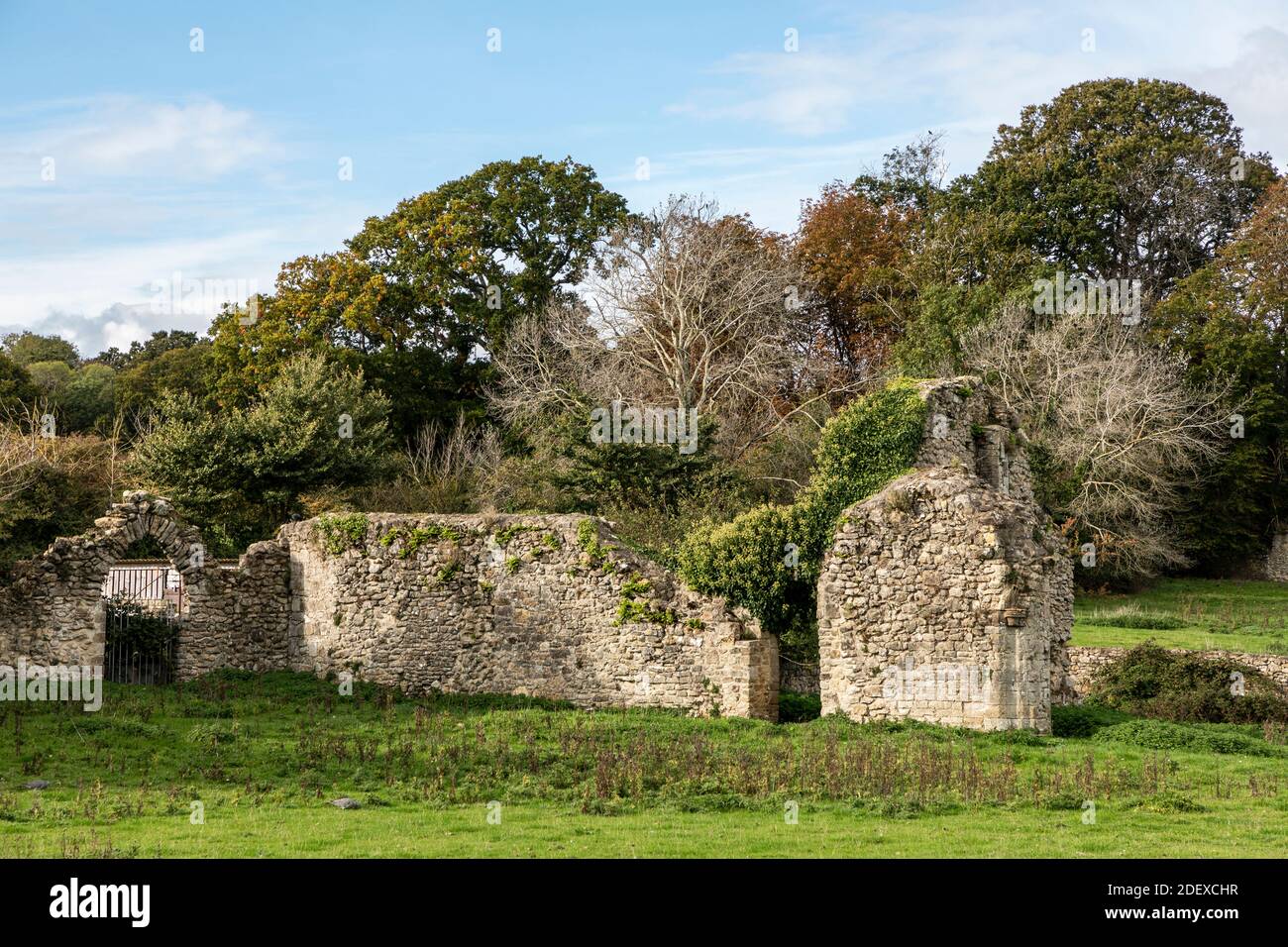 Ruins of the old Quarr Abbey, Ryde, Isle of Wight Stock Photo - Alamy
