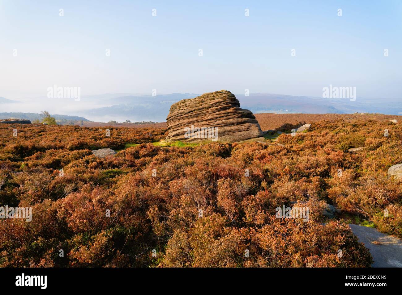 Large gritstone rock surrounded by golden bracken on a misty autumn ...