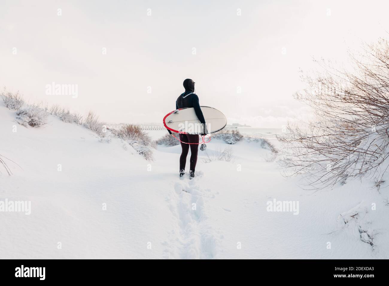 Snowy cold winter and man surfer with surfboard. Winter coastline and ...