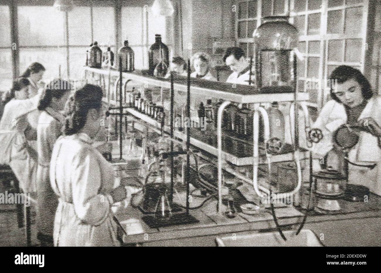 Laboratory of the USSR vitamin plant in the 1950s Stock Photo - Alamy