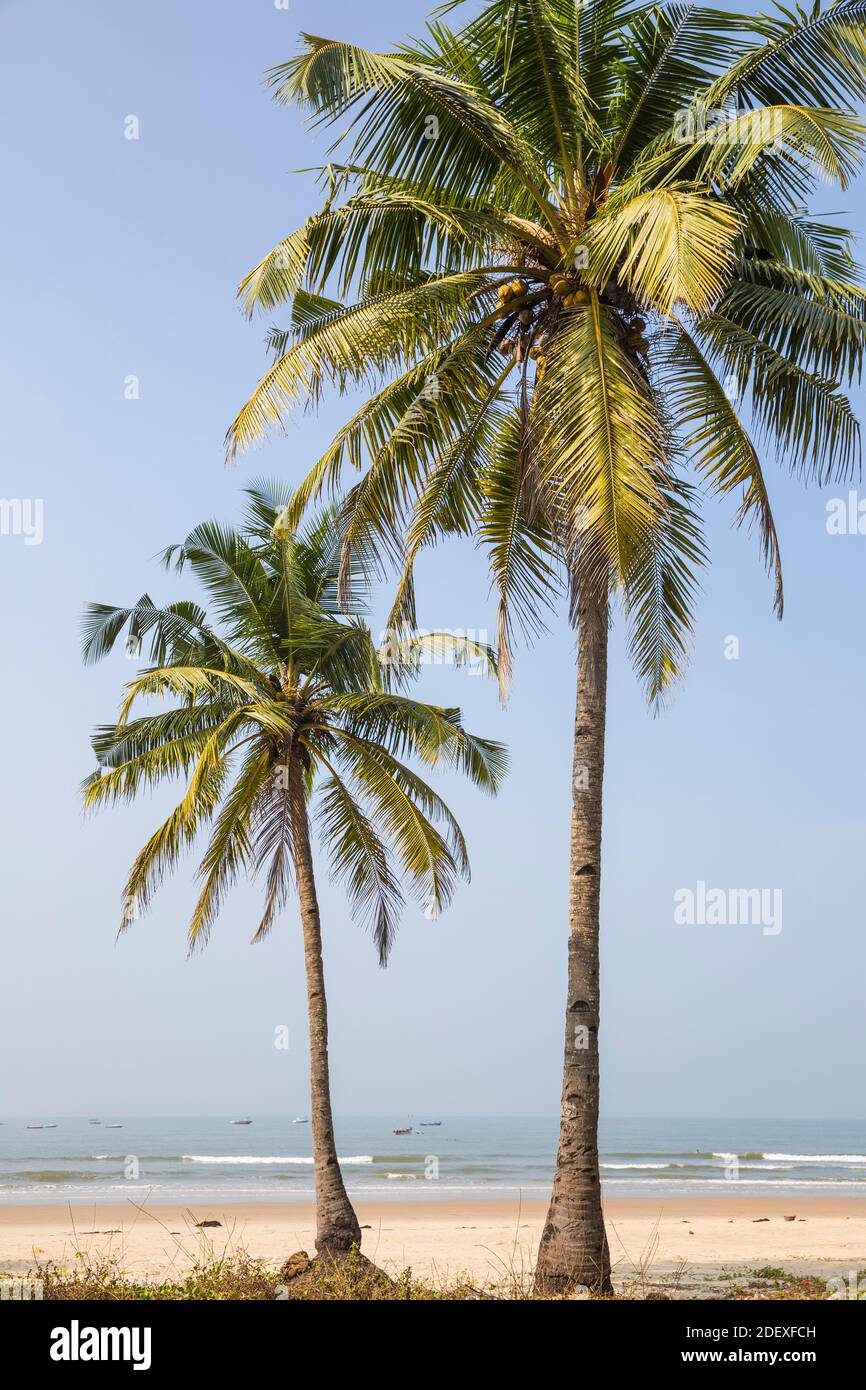 India, Goa, Colva beach Stock Photo - Alamy