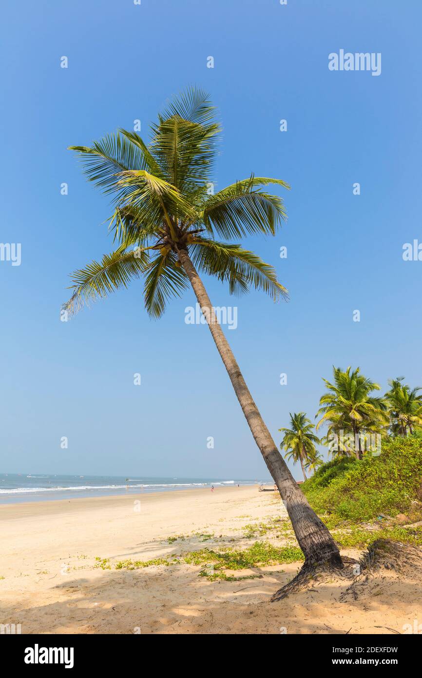 India, Goa, Colva beach Stock Photo - Alamy