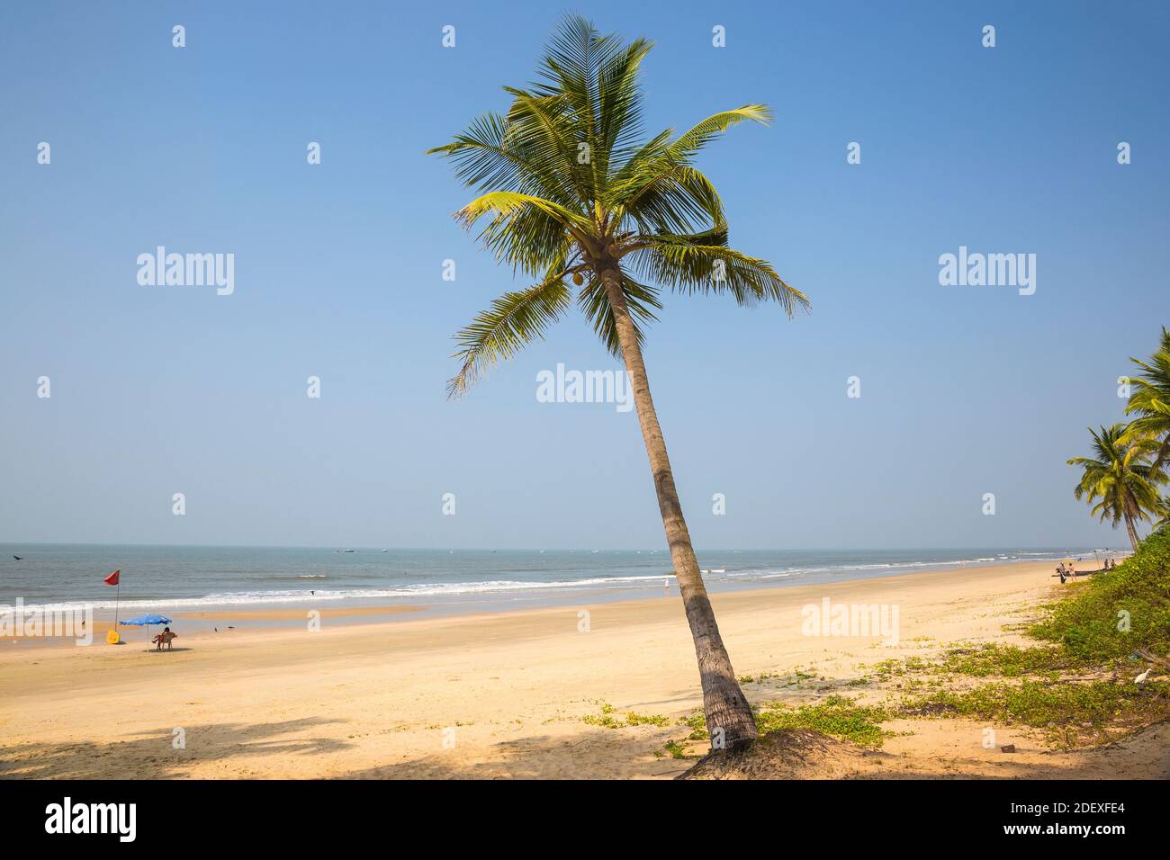 India, Goa, Colva beach Stock Photo - Alamy