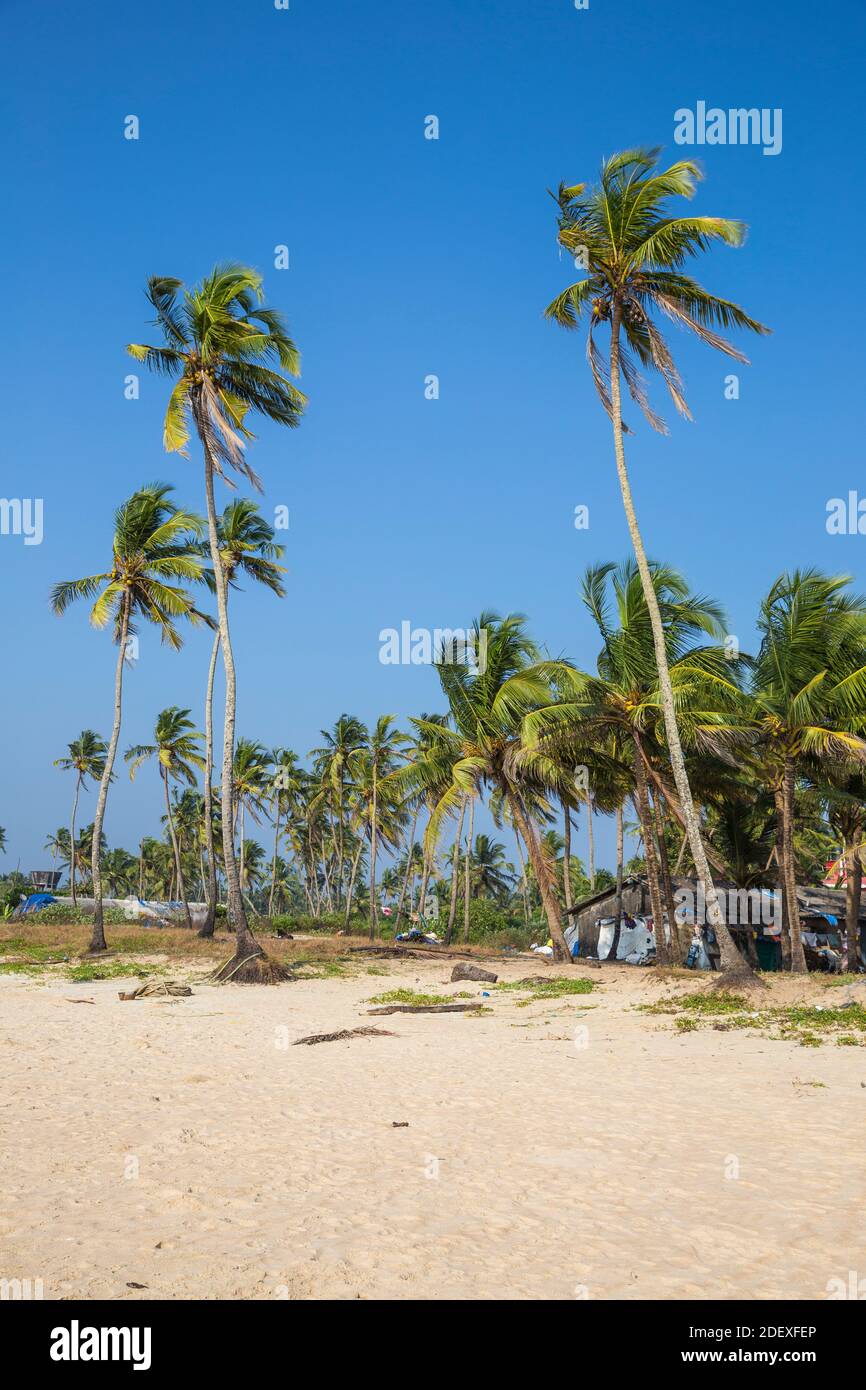 India, Goa, Colva beach Stock Photo - Alamy